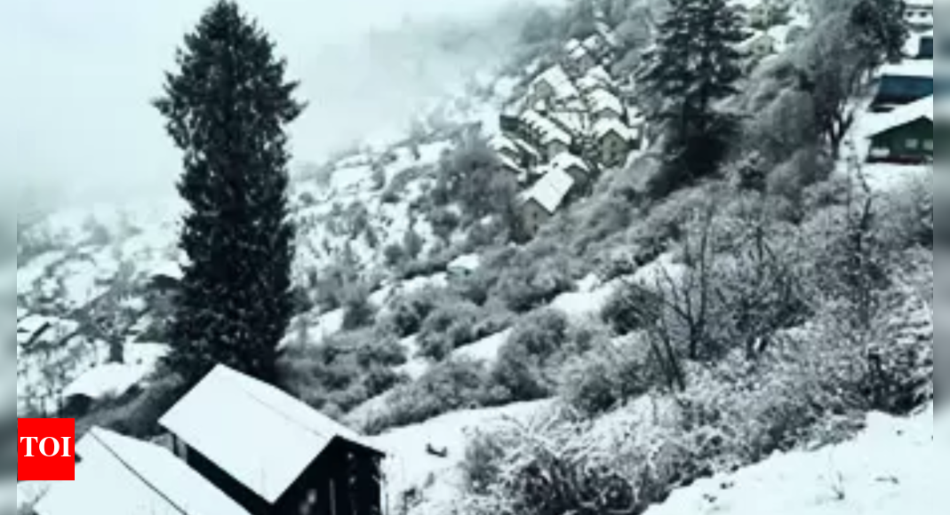 Snowfall: Fresh spell of snowfall blankets upper reaches Dehradun ...