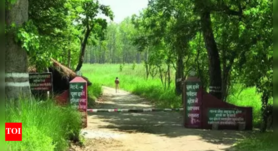 Beehive Fencing: Beehive fencing to protect villages from elephants ...