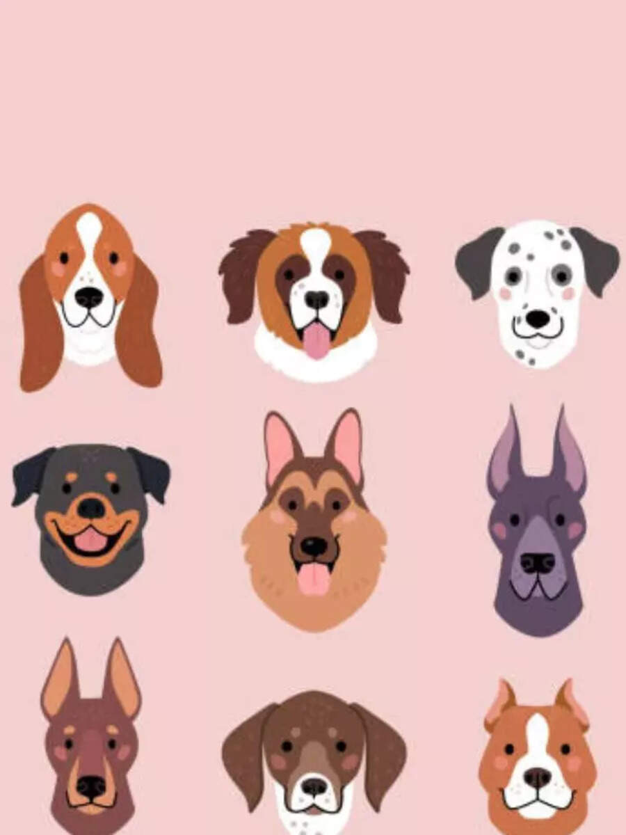 7 Animals with unusual noses | Times Now