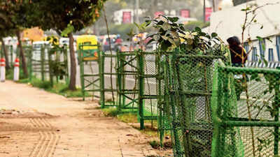 PWD: PWD's Comprehensive Plan for Greenery Maintenance on Delhi's Roads ...