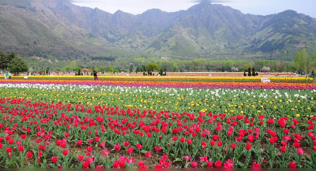 Spring Destinations in India: Destinations in India that are best ...