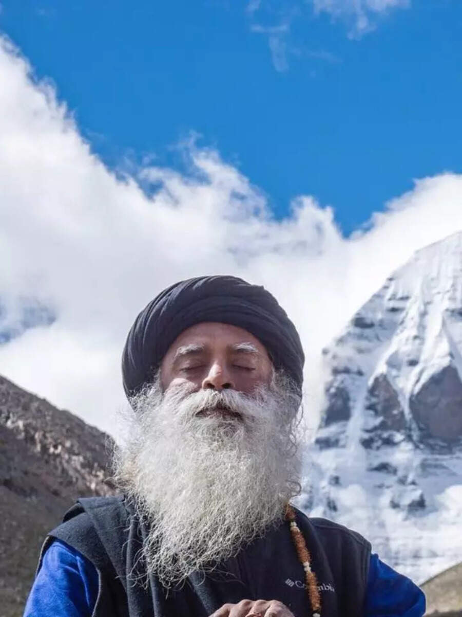 Sadhguru's Quotes On Stress | Times Now