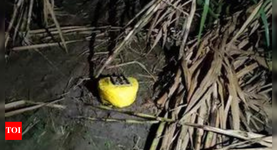IED found near Pak border in Kathua | India News - Times of India