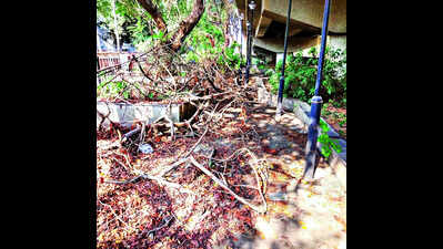 Tambaram Sanatorium Flyover: Neglected Park under Tambaram Sanatorium ...