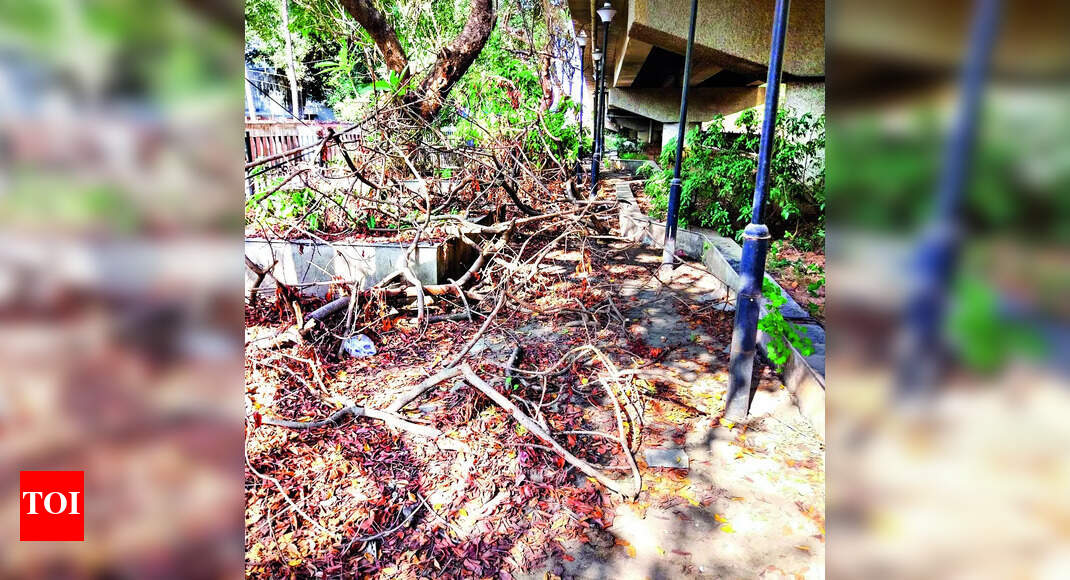 Tambaram Sanatorium Flyover: Neglected Park under Tambaram Sanatorium ...