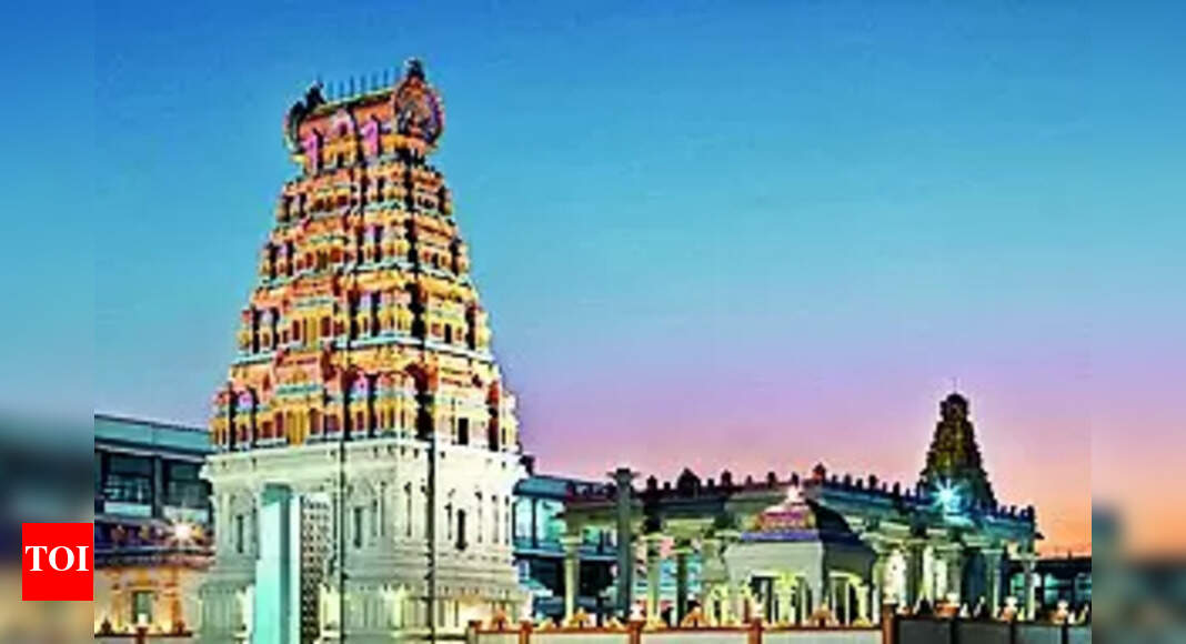 Shiva Shakti Dham Temple: Seer inaugurates Shiva Shakti Dham temple in ...