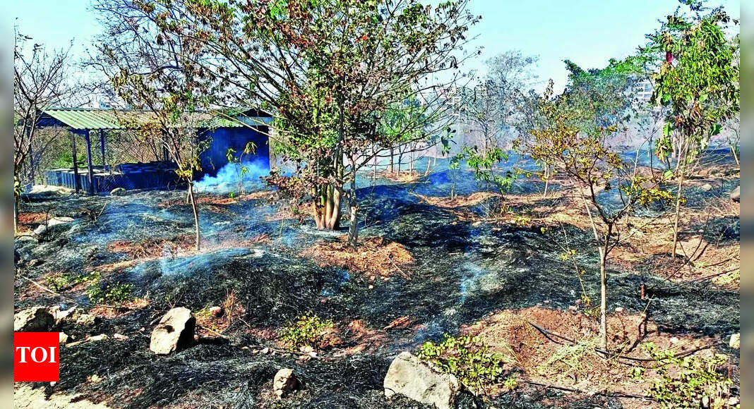 Urban Forest: Fire Damages 4 Acres of Urban Forest in Anandvan on NIBM ...
