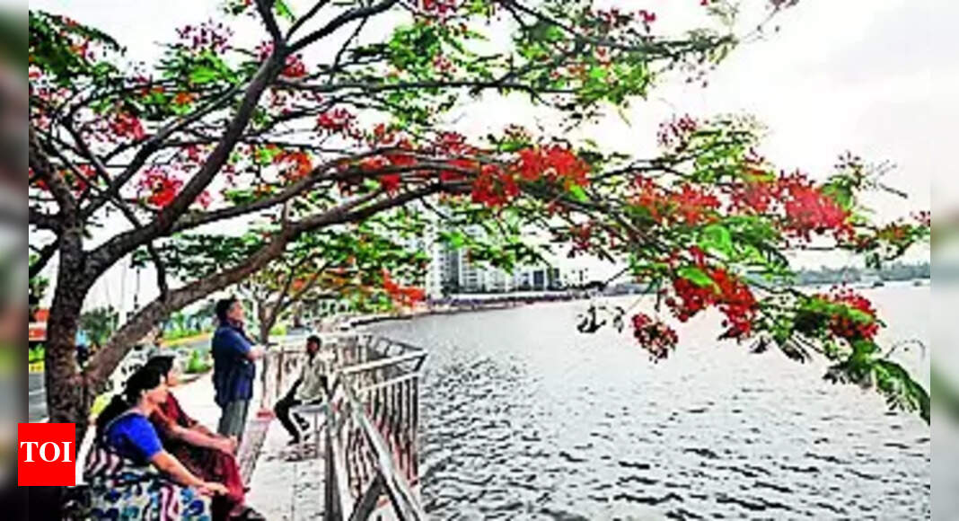 Marine Drive Extension: Marine Drive extension project in Kochi back on ...