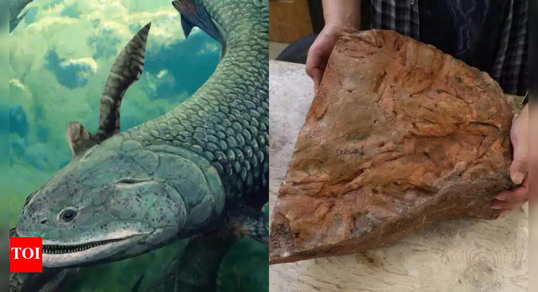 New Fossil Discovery: Ancient Fish That Could Breathe Air ...