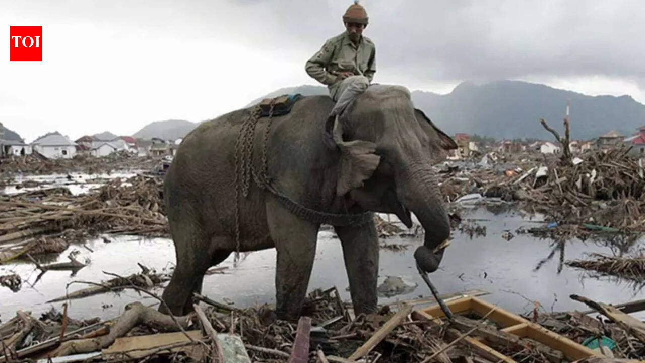 10 deadliest natural disasters that ever happened