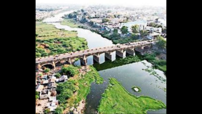 Gujarat Govt to Build Two Modern Bridges in Gondal, HC Told | Ahmedabad ...