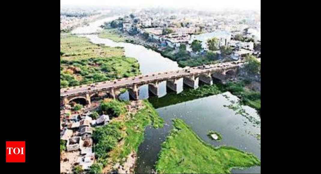 Gujarat Govt to Build Two Modern Bridges in Gondal, HC Told | Ahmedabad ...