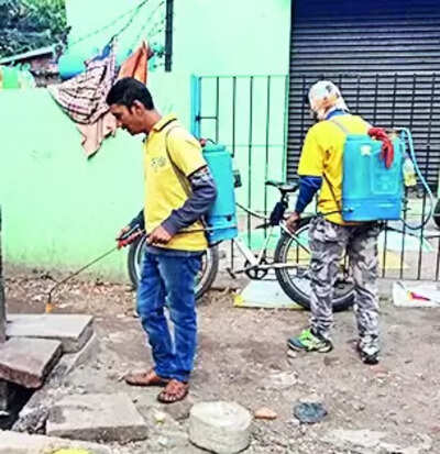 BMC Dengue Control: BMC to Conduct Special Dengue Control Drive in ...