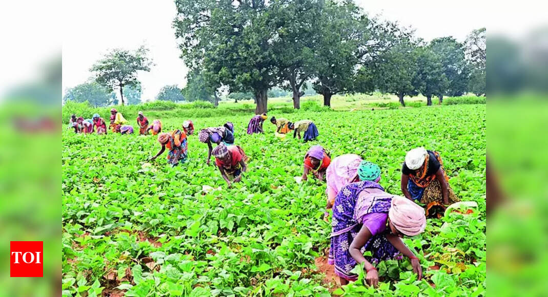 Banks' Lending: Banks’ lending in agri sector below RBI target ...