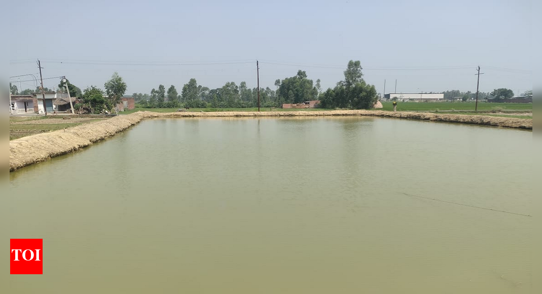 Udham Singh Nagar District: US Nagar district secures spot in top 15 ...