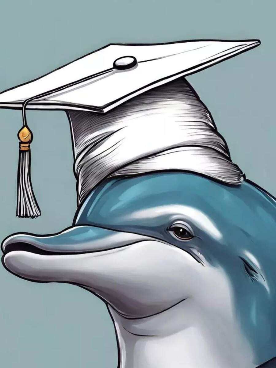 10 animals who can even be smarter than humans sometimes | Times of India
