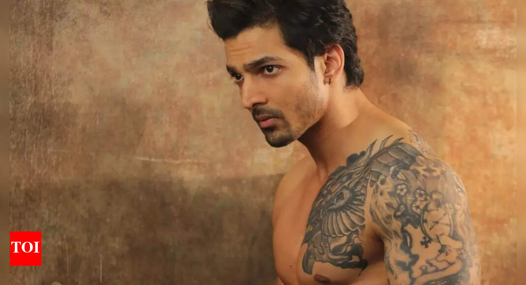Harshvardhan Rane on 'Sanam Teri Kasam' sequel: That's why part 2 never ...