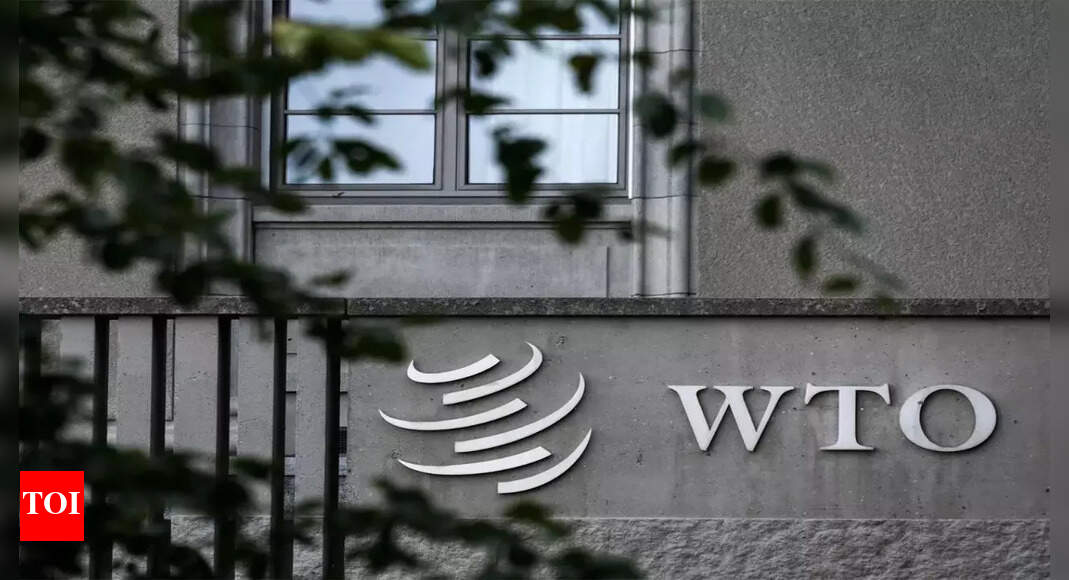 WTO issues: India's stand & possibilities - Times of India