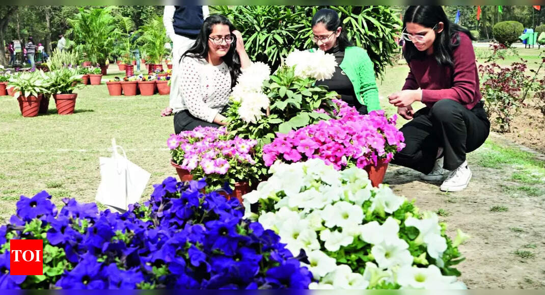 Flower & Baby Show: Flower & Baby Show Concludes on High Note and ...