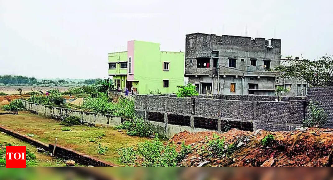 NGT Panel: NGT Panel to Probe ‘Encroachments’ on Mahanadi Riverbed ...