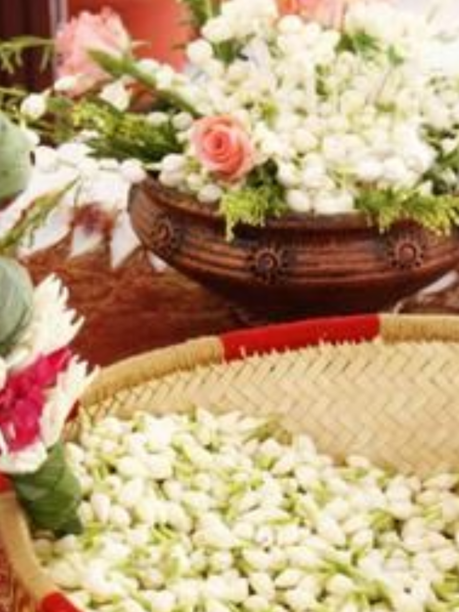 Top 10 most fragrant flowers in India: Tulsi, Rose, Chameli, Jasmine ...