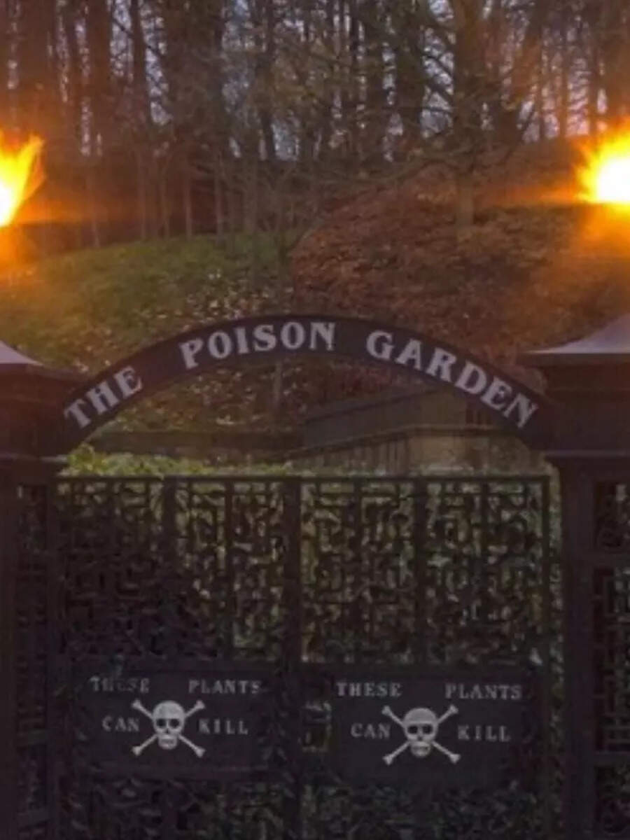 All about Alnwick, the ‘Poison Garden’ of UK | Times of India