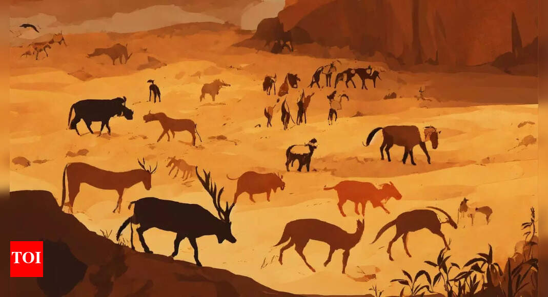 2 million animals dead as extreme winter weather hits Mongolia - The ...