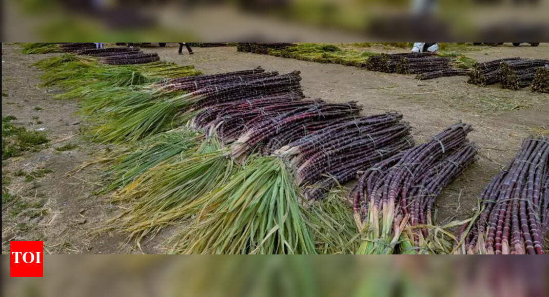 Decoding FRP and MSP: Why do they matter? - Indian News Publication ...