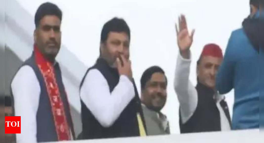 Rifts erupt between SP-Apna Dal (K) after heated arguments over Rajya Sabha poll: Report | India ...