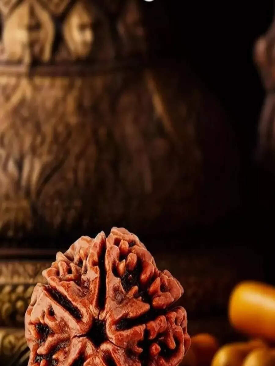 Different Types of Rudraksha and their Significance | Times of India