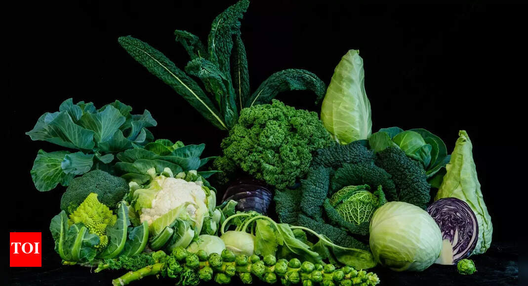 Types of Cabbage and Their Culinary Uses - A Guide to the Popular ...