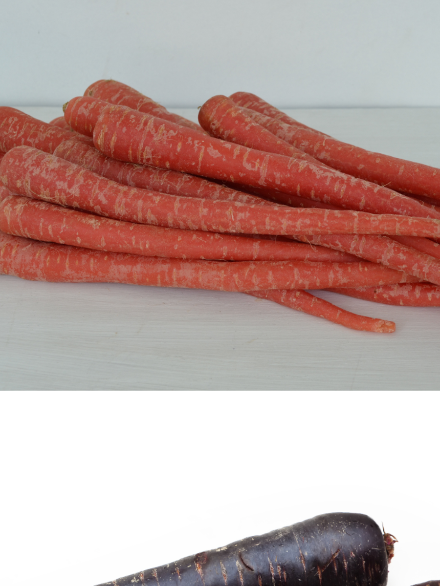 Purple vs red vs white carrot, their benefits and uses | Times of India