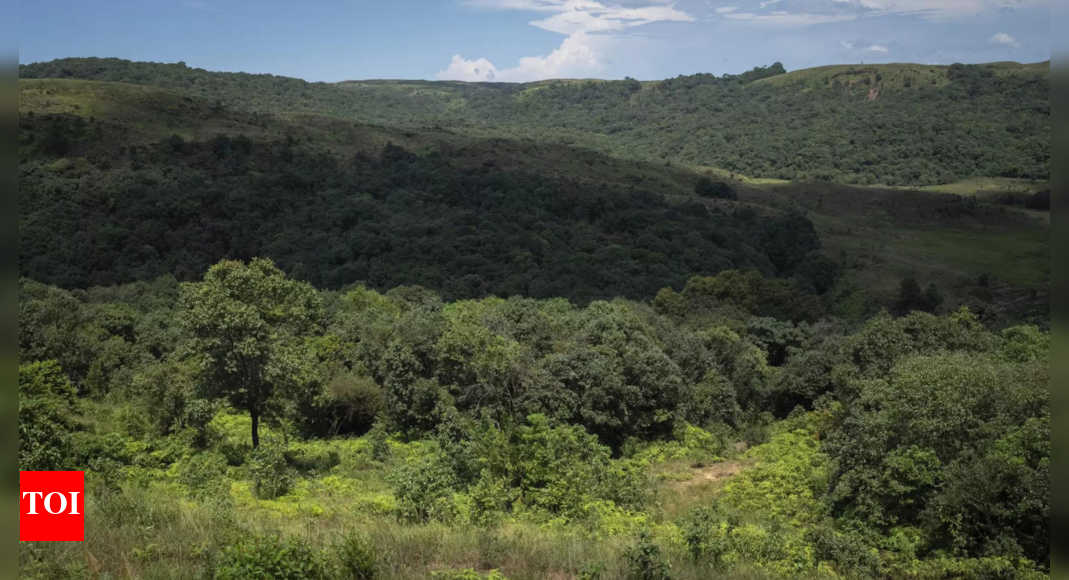 Government releases methodologies for earning Green Credits by planting ...