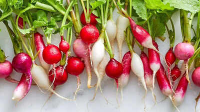Pink Radish vs White Radish: Similarities, Differences, and Culinary ...