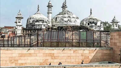 Ban Muslims' presence above Vyas Tehkhana | Varanasi News - Times of India
