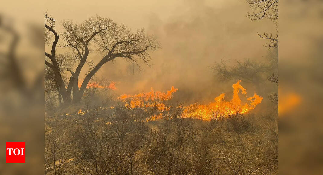 Wildfire in Texas Panhandle becomes one of the largest in state history ...