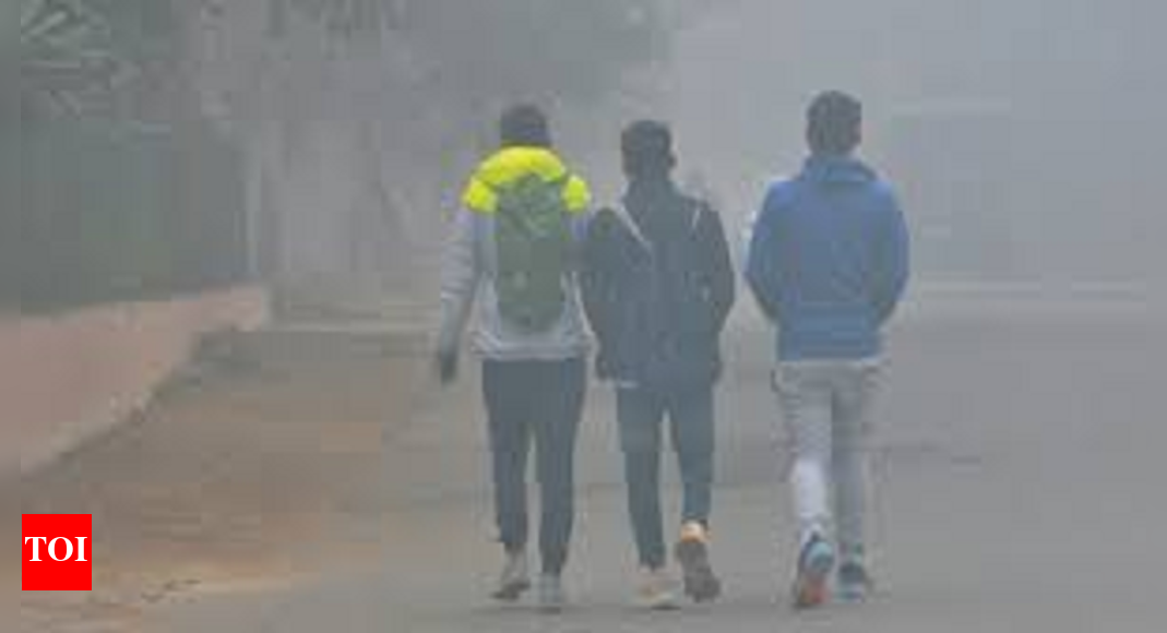 Delhi witnesses coldest February nights in 16 years | Delhi News ...