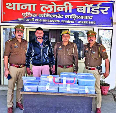 Illegal Arms Factory: Illegal Arms Factory Busted; One Held | - Times of India