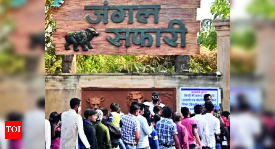 Naya Raipur Jungle Safari Animals Death: Deaths of Wild Animals in Naya ...