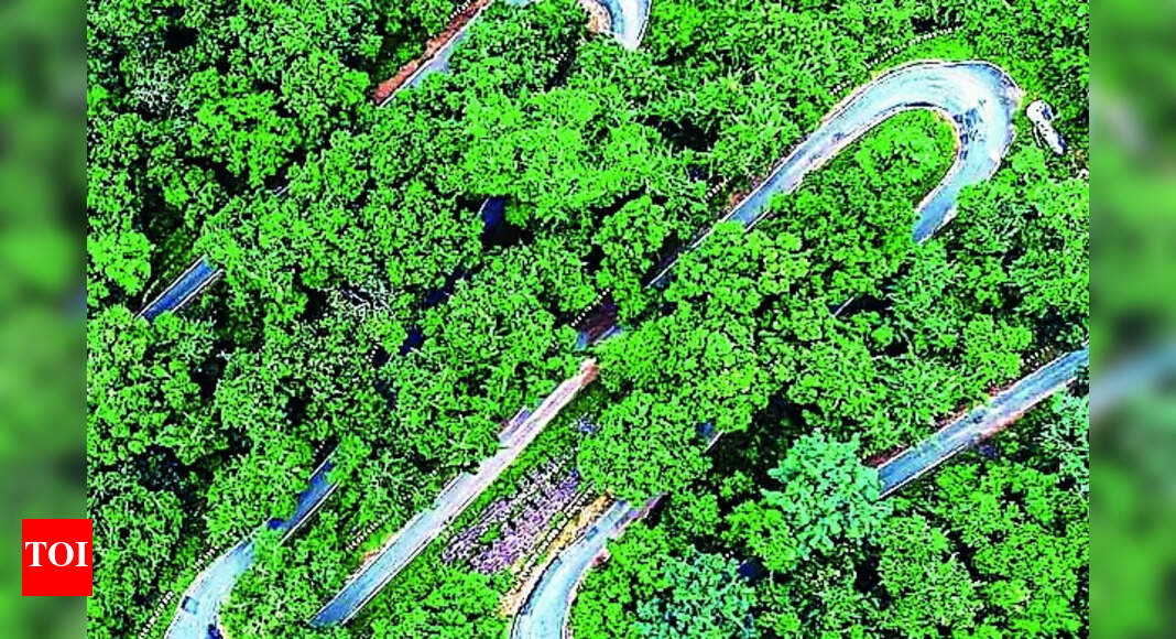 NH-59: Centre approves Rs 718 cr grant for widening of NH-59 stretch ...