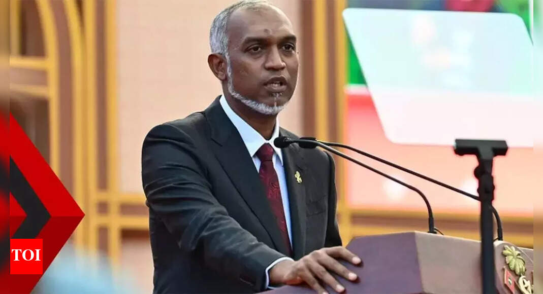 Maldives ex-minister calls out President Muizzu's 'lies' about Indian ...