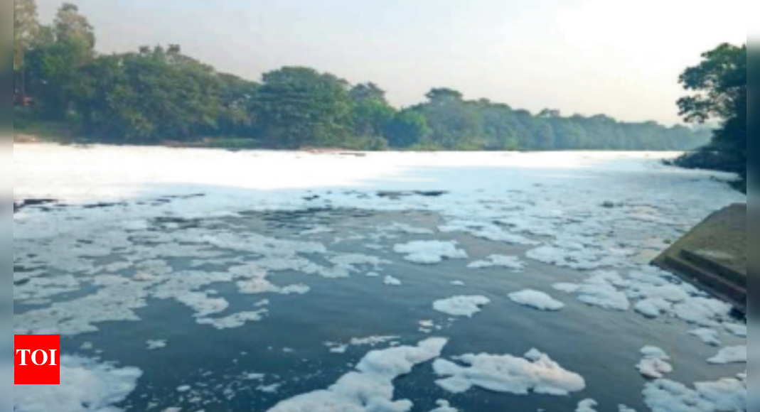 Pavana River: Pavana River Among Most Polluted in India | Pune News ...