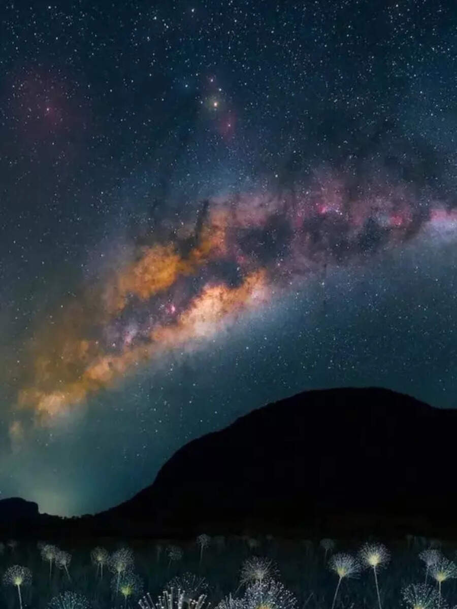 8 Striking Images from The Nature Photography Contest Winners’ Gallery ...