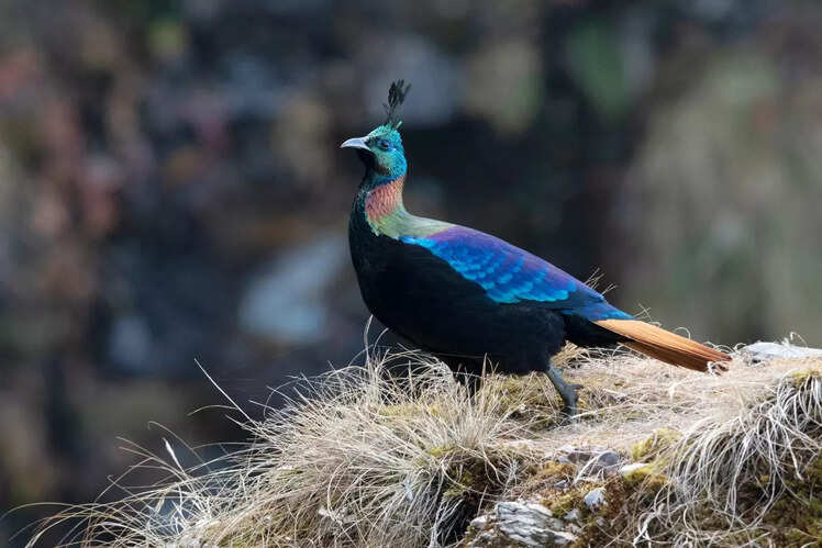 Jamnagar: Interesting places to visit in this vibrant city in Gujarat ...