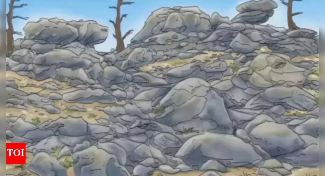 Optical Illusion: Spot the dog around the rocks in under 5 seconds ...