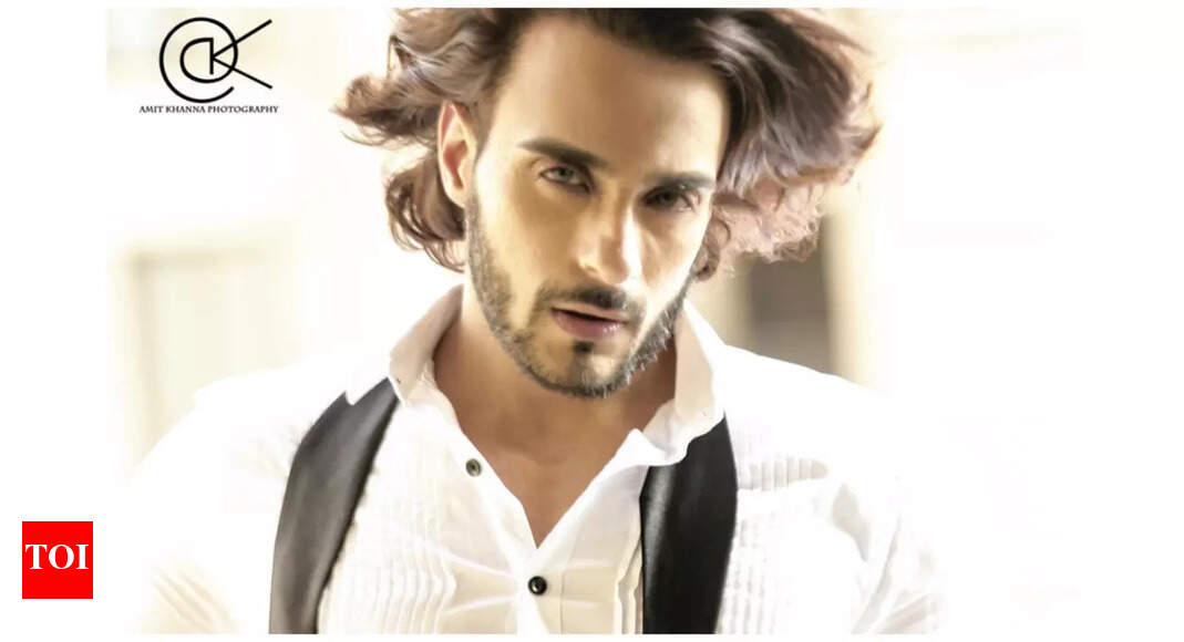 Angad Hasija to enter Sriti Jha and Arjit Taneja’s Kaise Mujhe Tum Mil ...