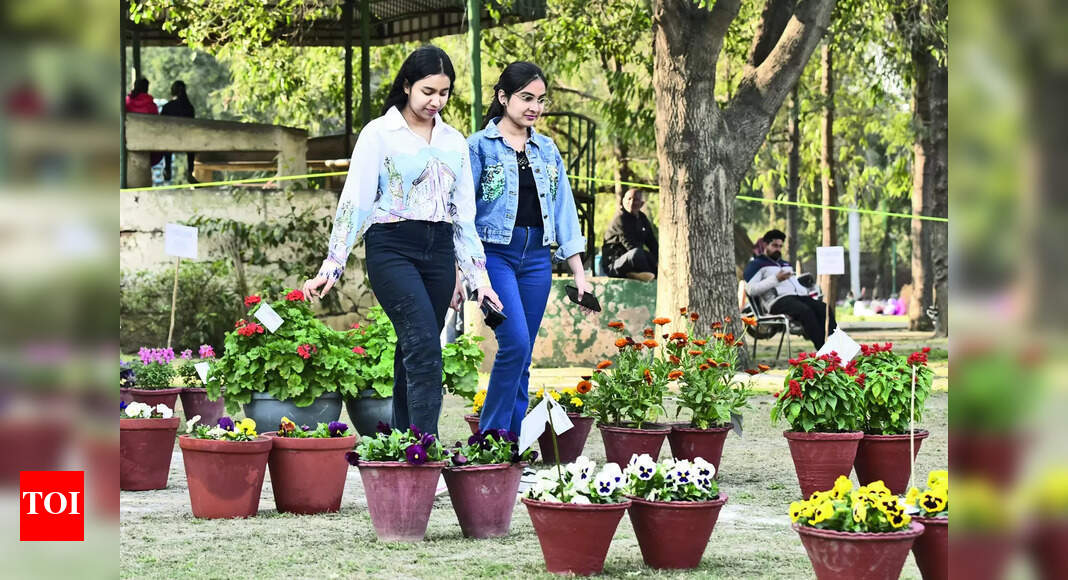 Rose Garden Upgrade Ludhiana: Revamp of Nehru Rose Garden in Ludhiana ...