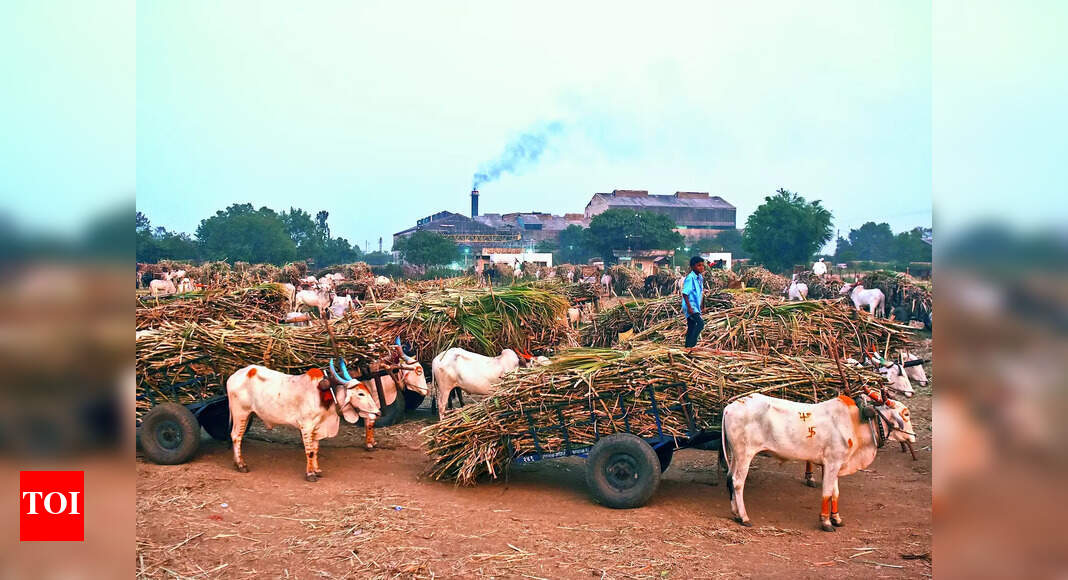 Sugar Mills: Allow surplus sugar for ethanol: Millers demand increase ...