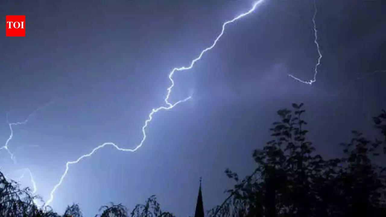 Six killed in lightning; heavy rain across Rajasthan | Jaipur News ...