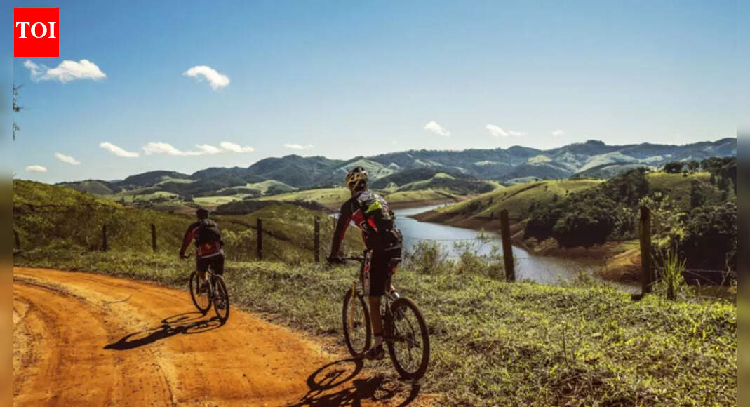 Single Speed Cycle Buying Guide: All You Need To Know | - The Times Reviews
